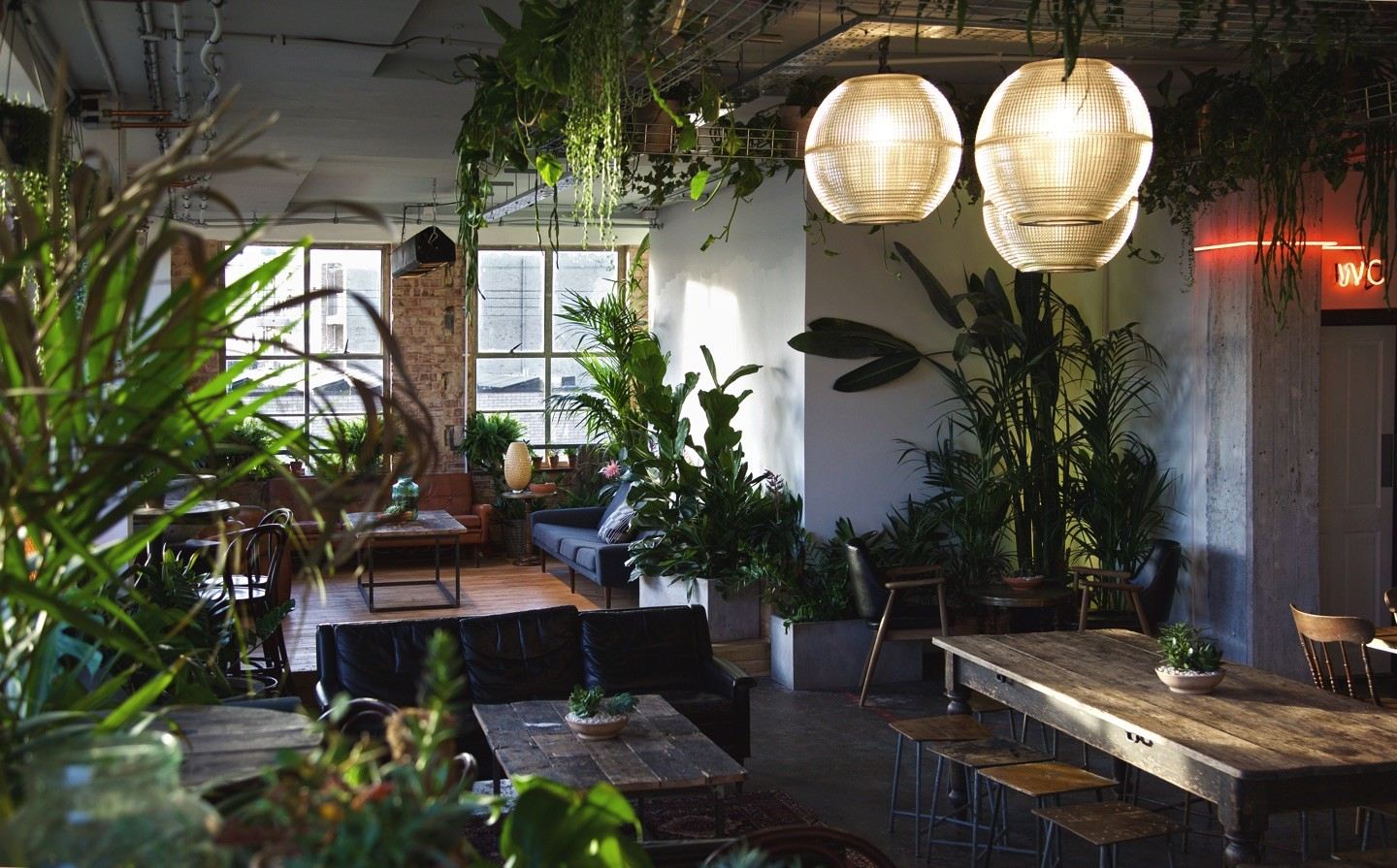 Interview: Kali Hamm and Memby Jago, founders of Palm Greens - Beastmag